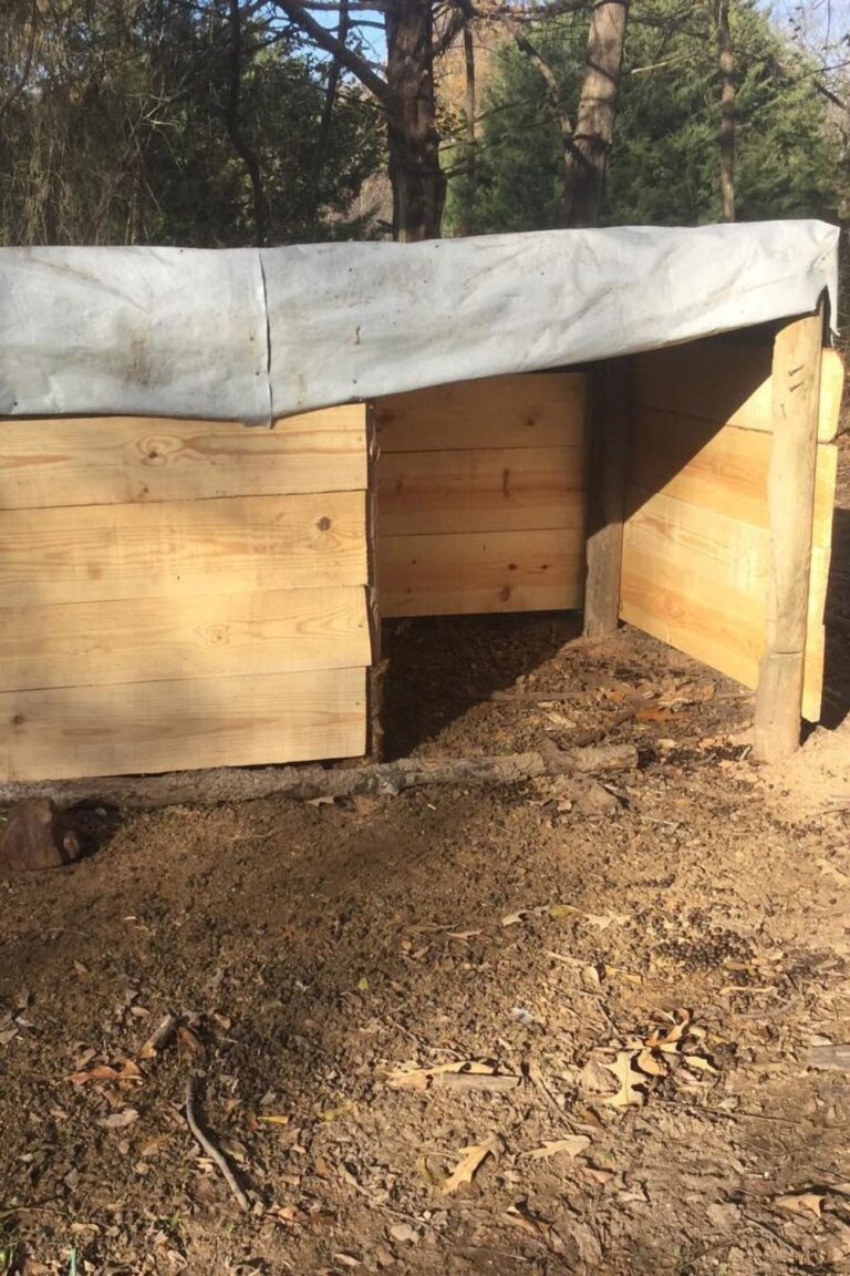 Building a Goat Shelter? 28 Creative DIY Solutions! – Crafty Sphere