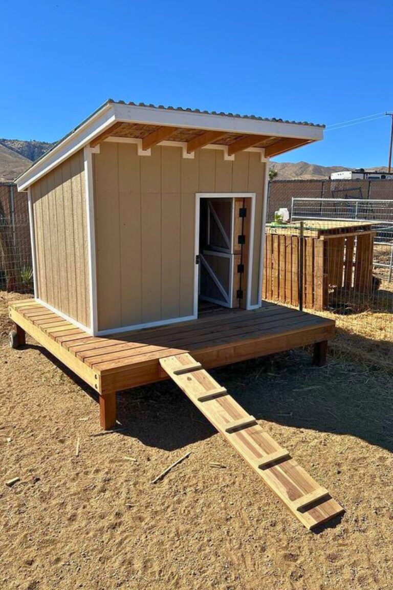 Building a Goat Shelter? 28 Creative DIY Solutions! – Crafty Sphere