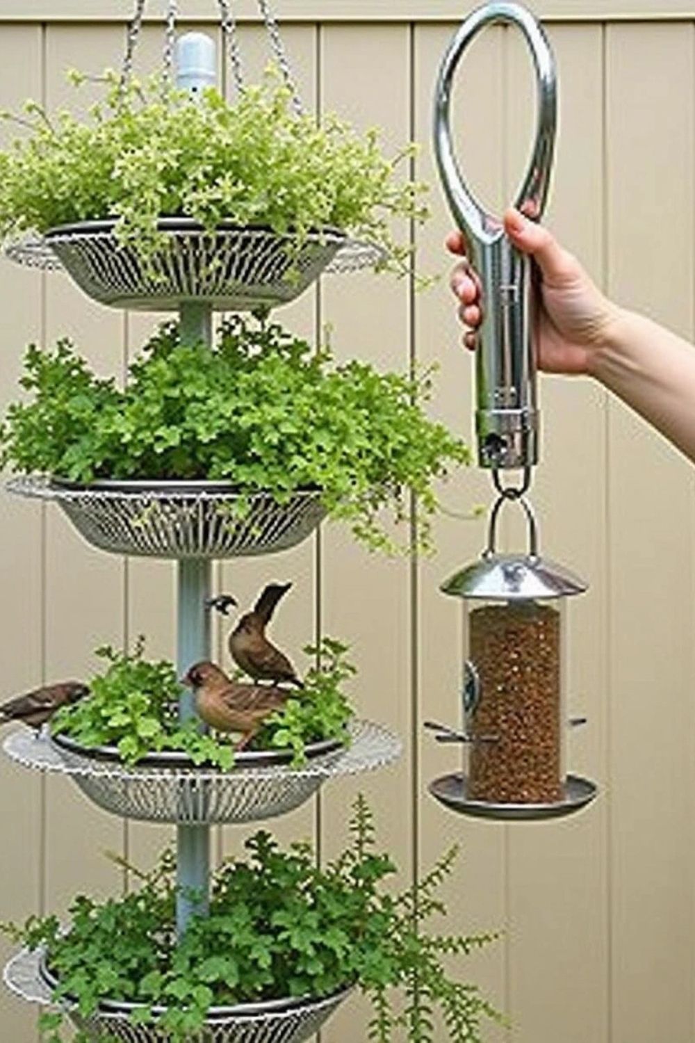 Love Backyard Birds? 20 Creative Feeding Station Setups! – Crafty Sphere