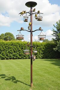 Love Backyard Birds? 20 Creative Feeding Station Setups! – Crafty Sphere