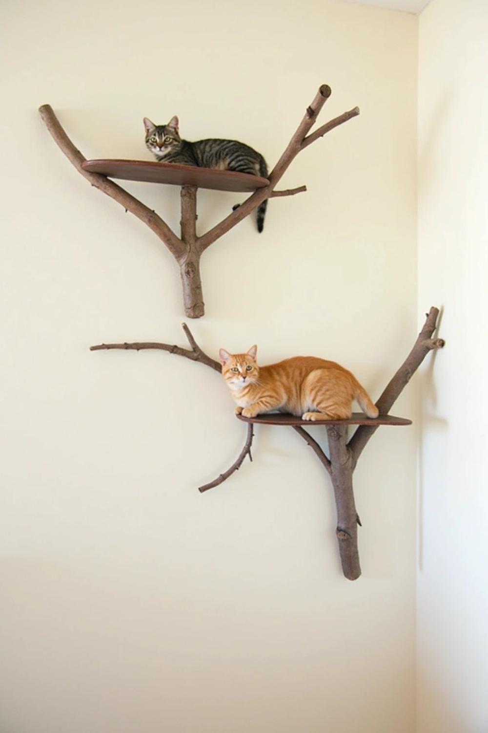 Want Happy Cats? 26 Wall-Mounted Play Space Projects! – Crafty Sphere