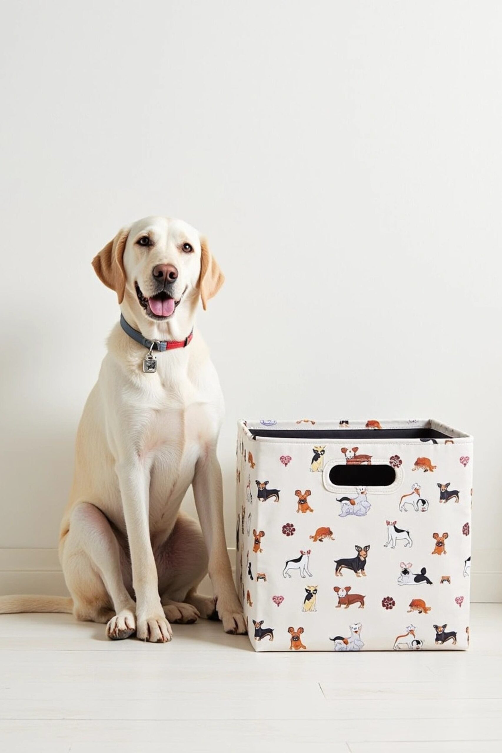 Tired of Chew Toys Everywhere? 20 Smart Storage Solutions! – Crafty Sphere
