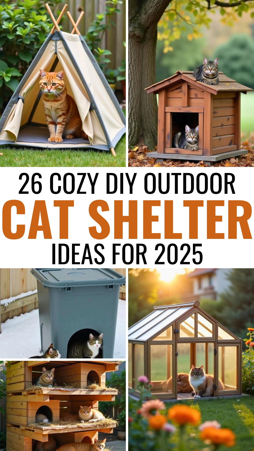 Want to Keep Strays Warm? 26 Cozy Outdoor Cat Shelter Designs! – Crafty ...