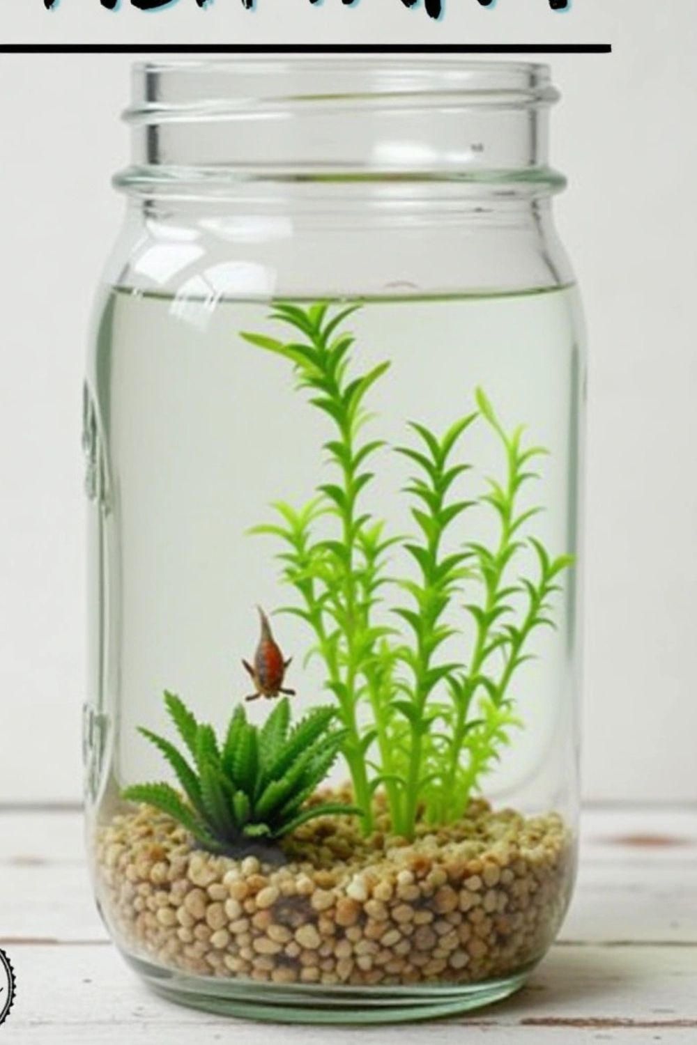 Setting Up an Aquarium? 26 Stunning Tank Design Concepts! – Crafty Sphere