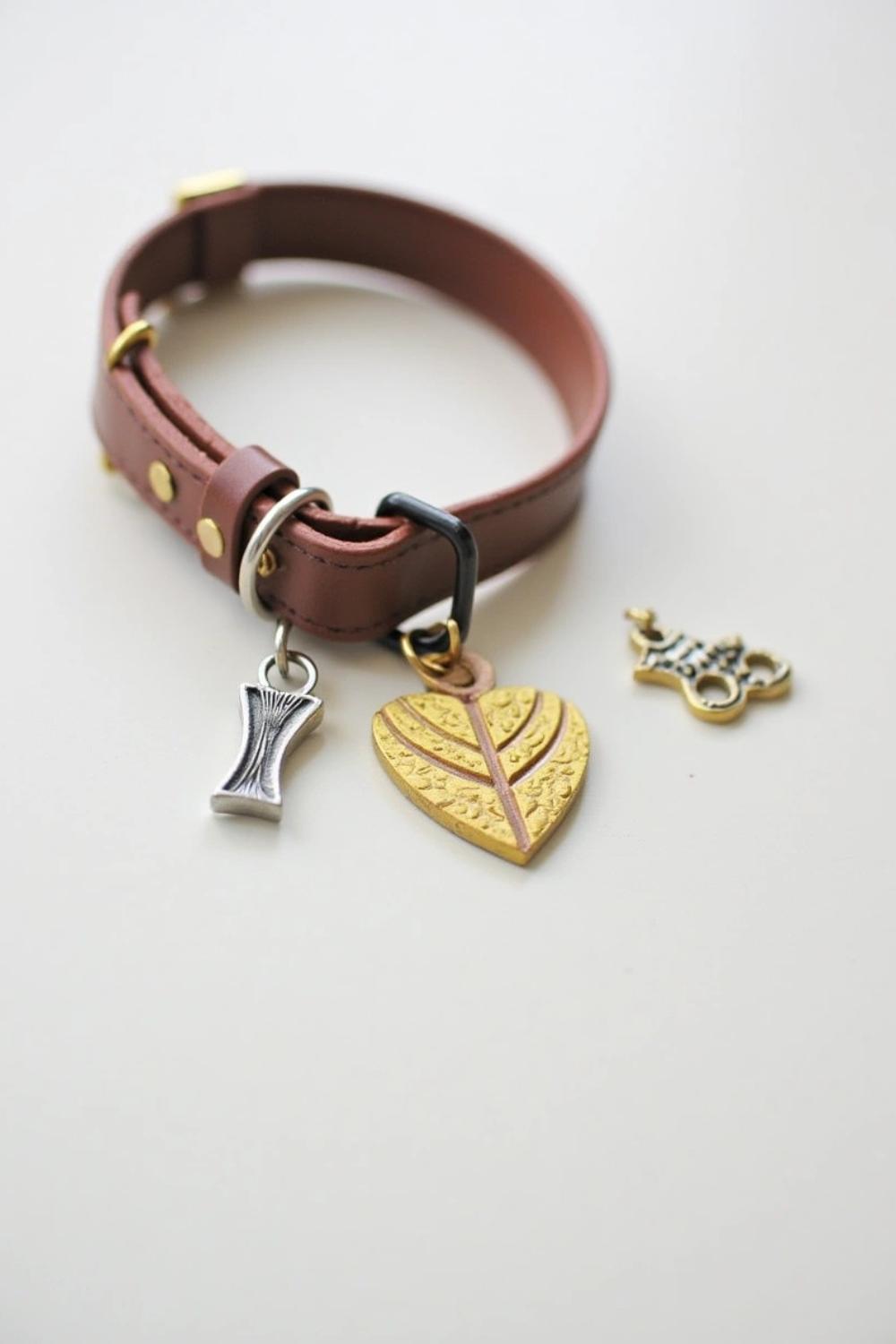Need Unique Pet Gear? 26 Handmade Collar Craft Projects! – Crafty Sphere