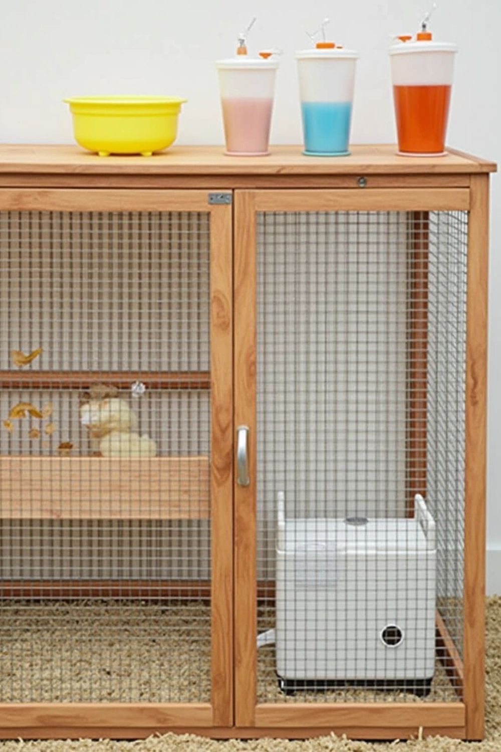 Need Bunny Housing? 20 Weather-Resistant Hutch Build Plans! – Crafty Sphere