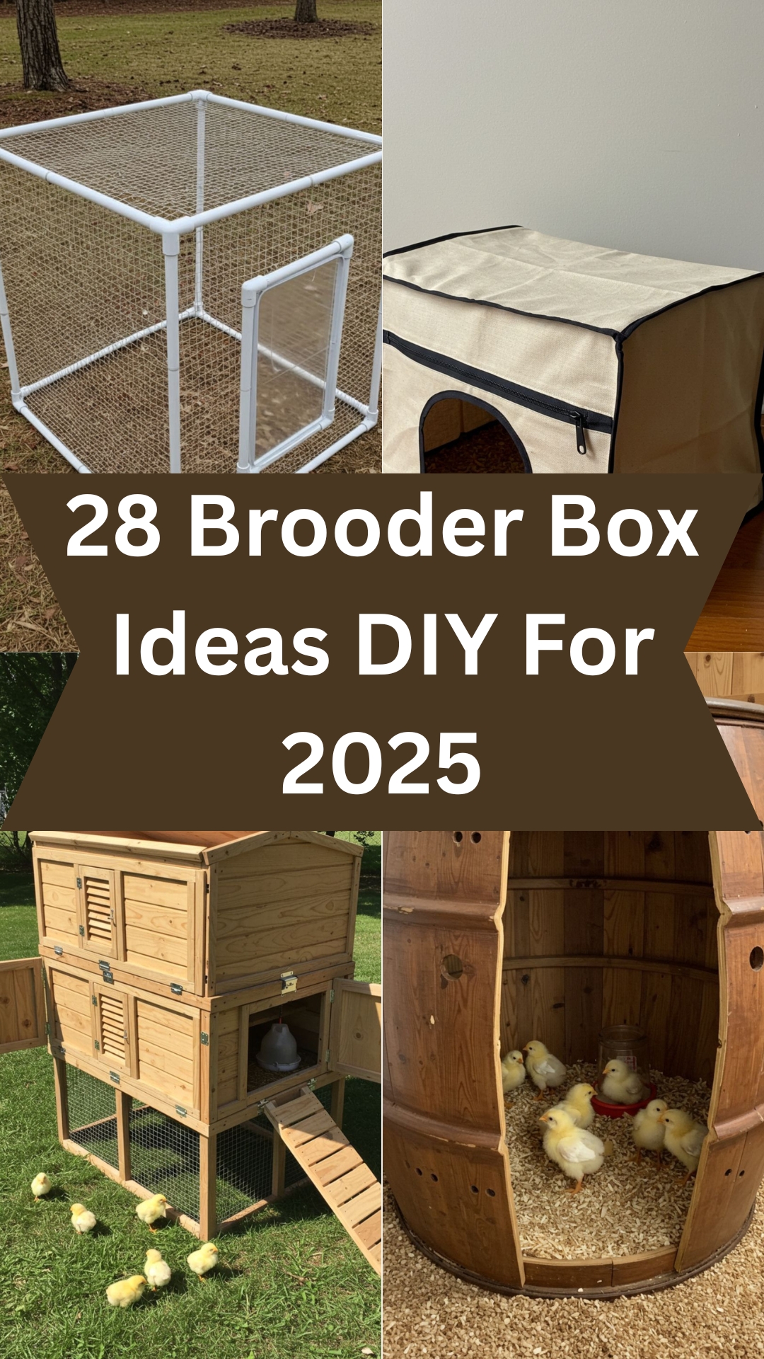 Starting Chicks? 28 Safe & Warm Brooder Box Solutions! – Crafty Sphere